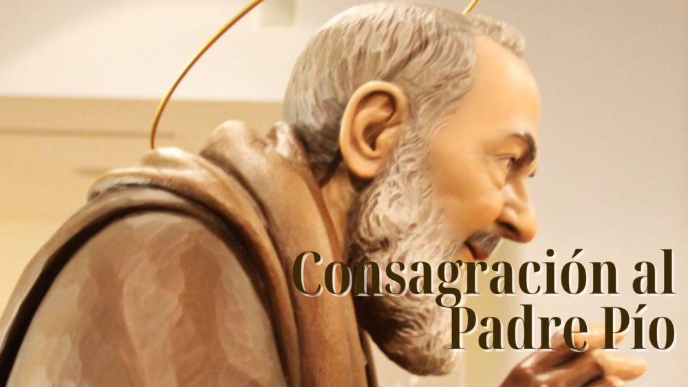 Consagración al Padre Pío: una devoción profunda y transformadora ...